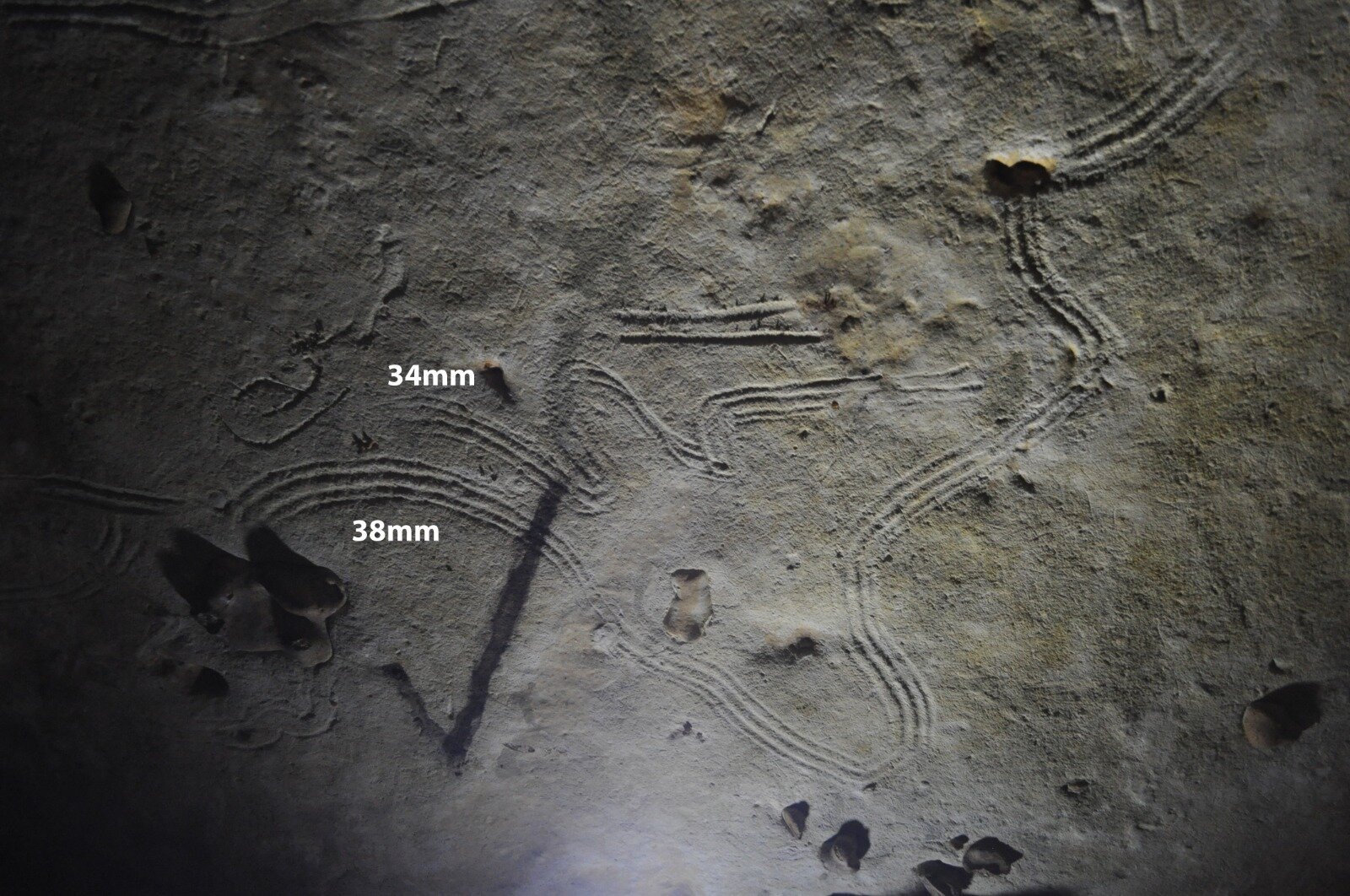 Archaeologists Uncover Mystical Role of Young Children in Ice Age Cave Art