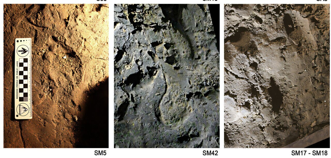 Archaeologists Uncover Mystical Role of Young Children in Ice Age Cave Art