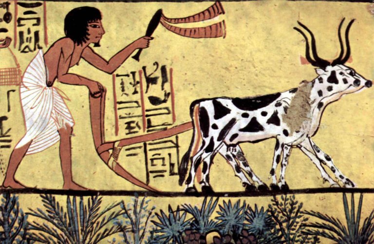 From Sunrise to Sunset: The 24-Hour Routine of an Ancient Egyptian