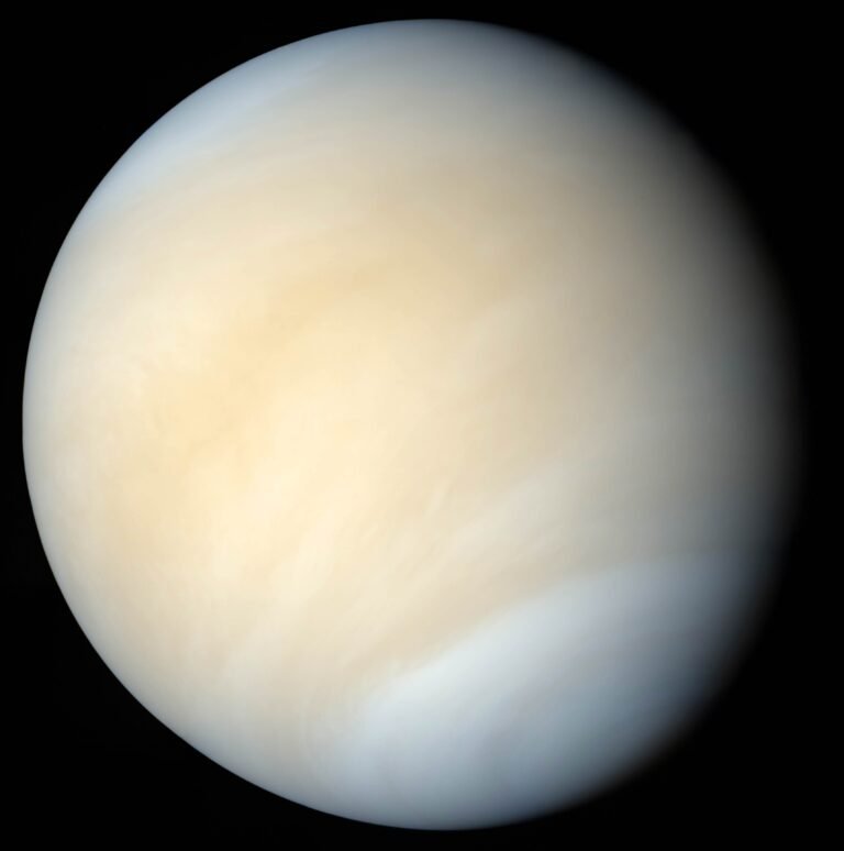 The Enigma of Venus’ Backward Spin