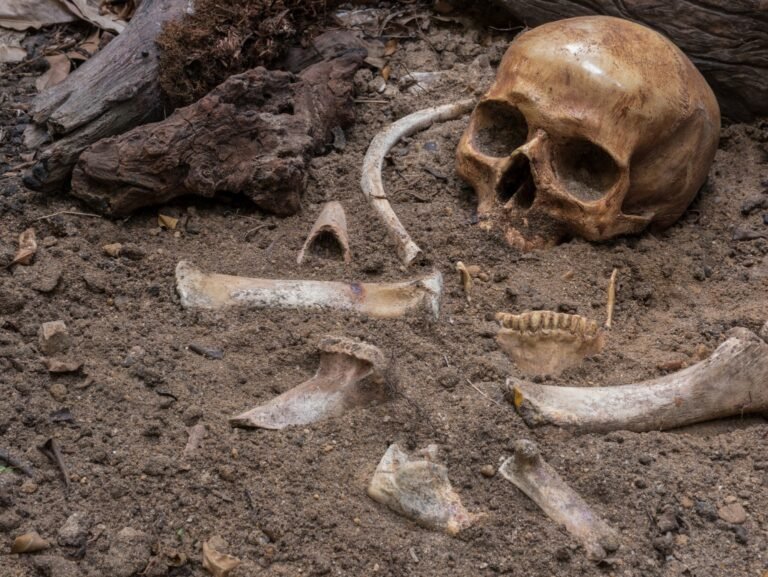 The Unanswered Questions Hiding in Ancient Bones