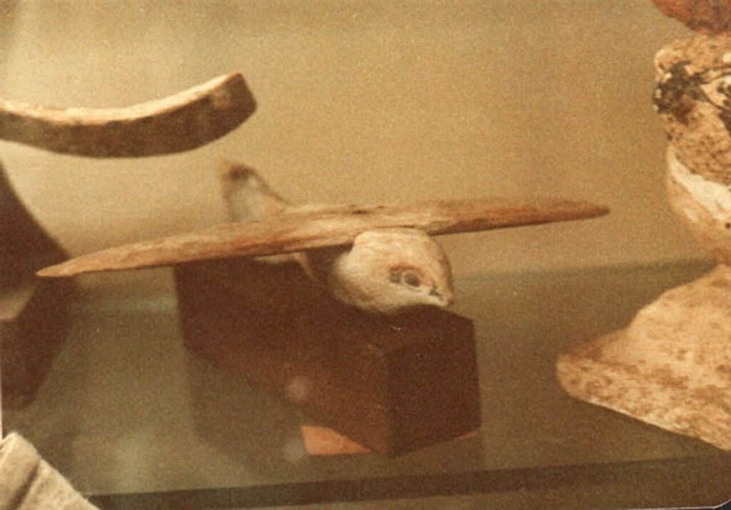 The Saqqara Bird: Did Ancient Egyptians Have Flying Machines?